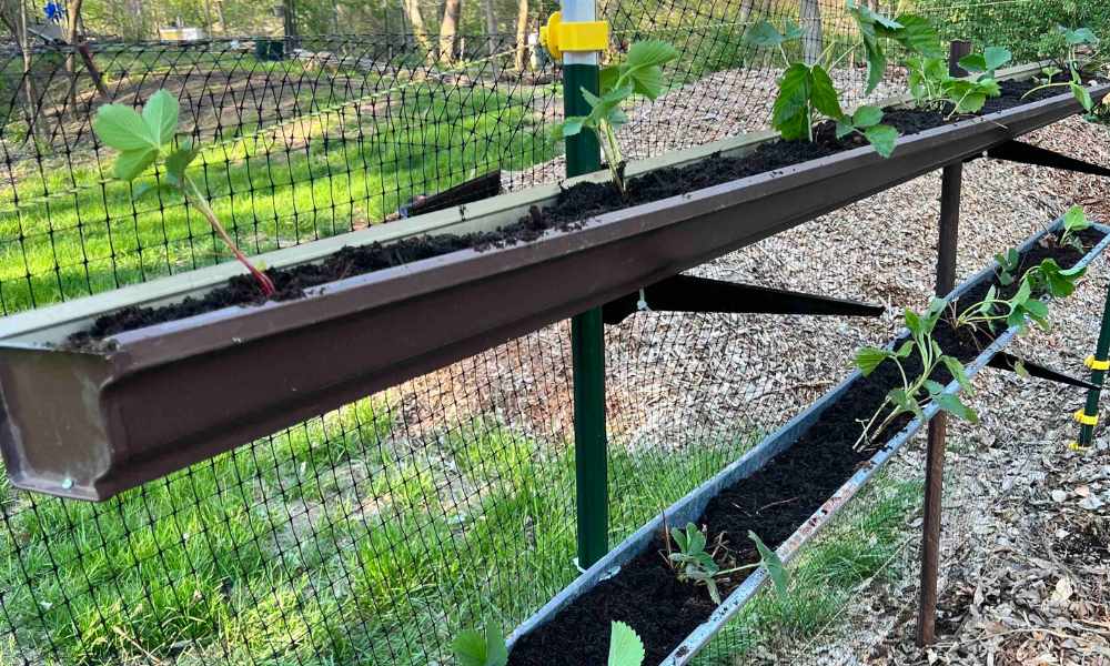 DIY Gutter Garden Tips To Spruce Up Your Home