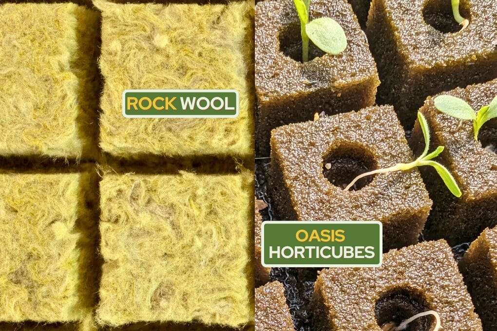 Rockwool Vs Oasis Horticubes For Hydroponic Growing