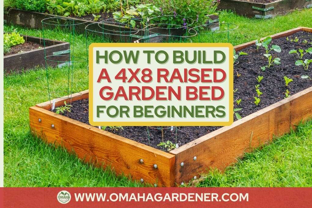 How To Build A 4x8 Raised Garden Bed For Beginners