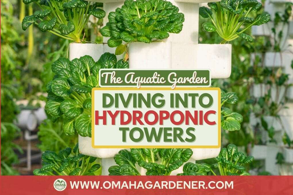 The Aquatic Garden: Diving Into Hydroponic Towers