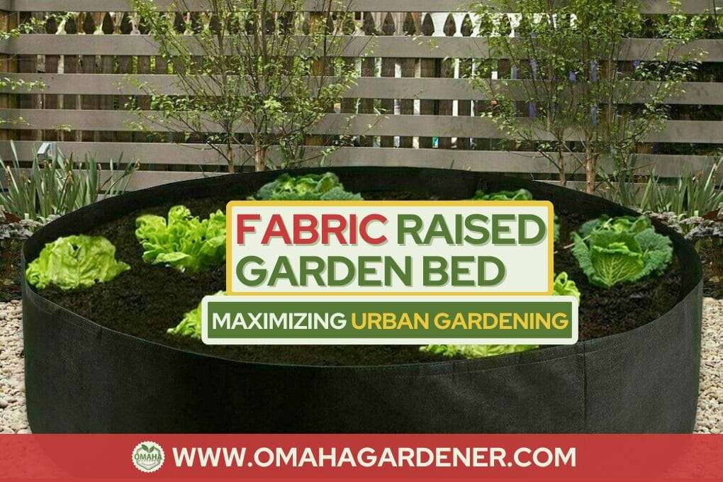 Fabric Raised Garden Bed: Maximizing Urban Gardening